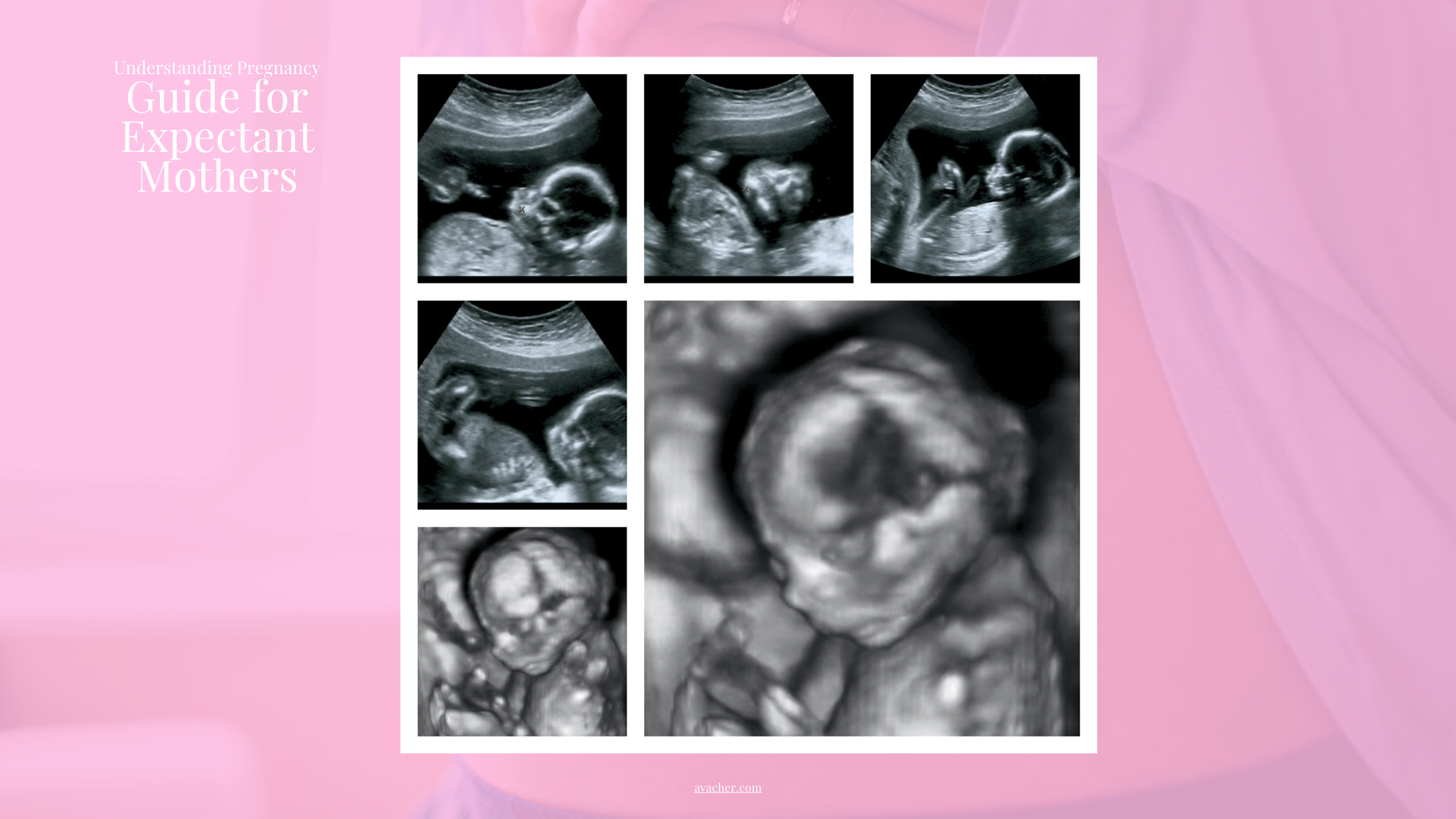 Understanding Pregnancy: Guide for Expectant Mothers – Ava and Cher